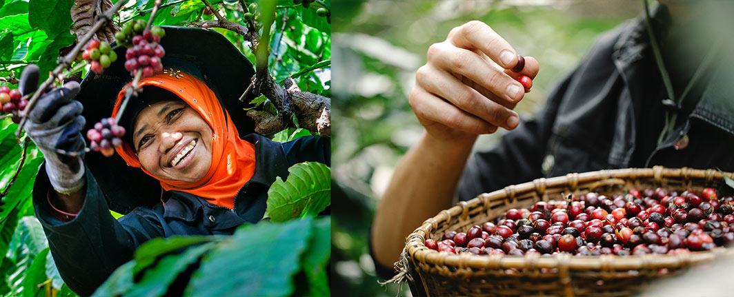 SUBSIDIARIES – Varion Capital Management